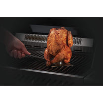NAPOLEON Chicken Roaster – Grill Collection